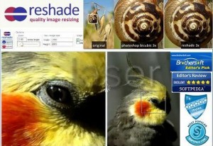 Reshade online image resizer - passsas